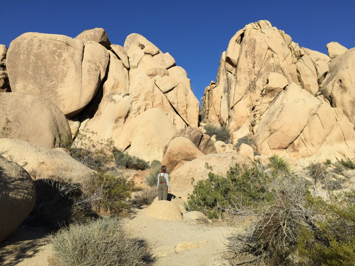 Fun Friday: Ode to my Overalls – Confessions of a Type A Woman